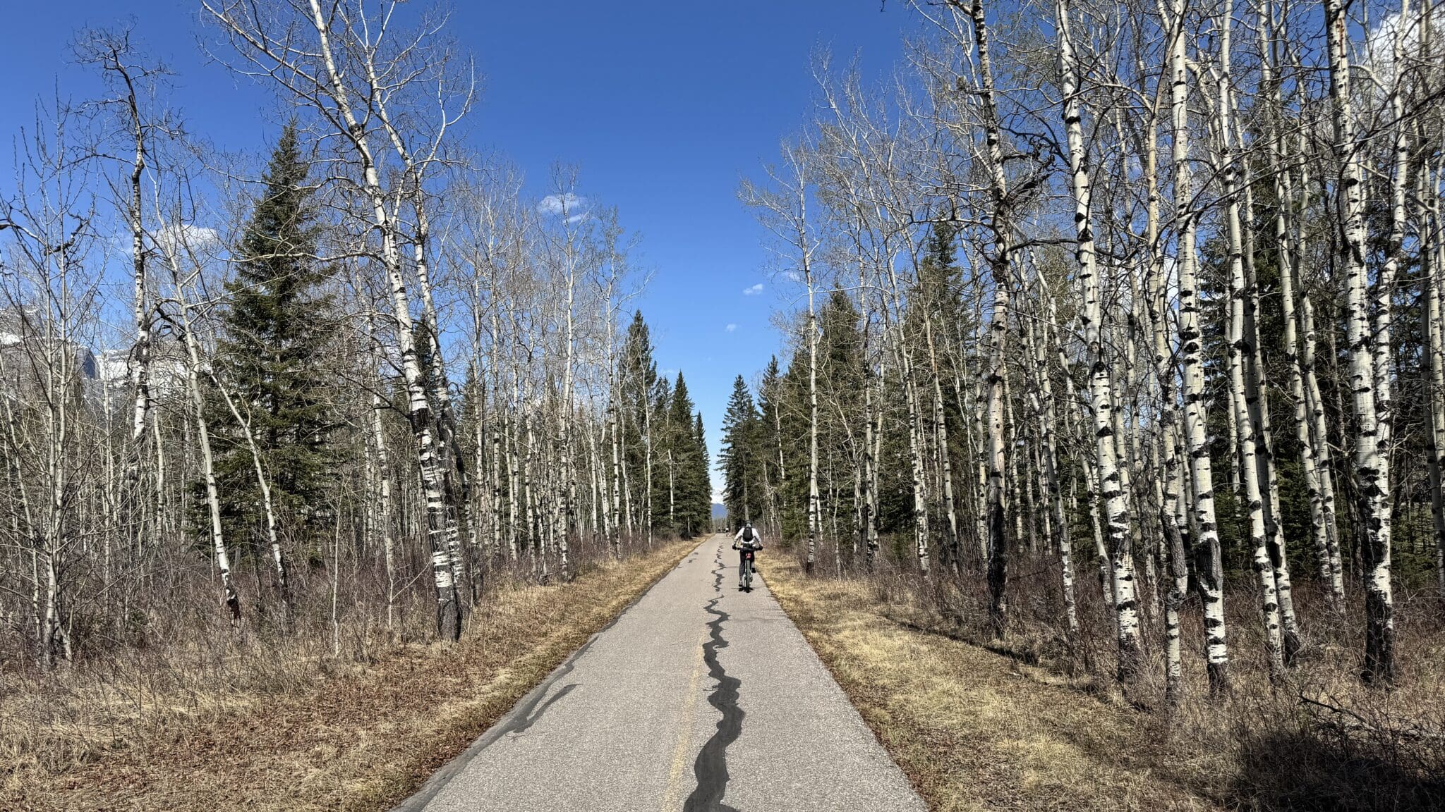Discover the Things to Know Before Biking the Banff Legacy Trail ...