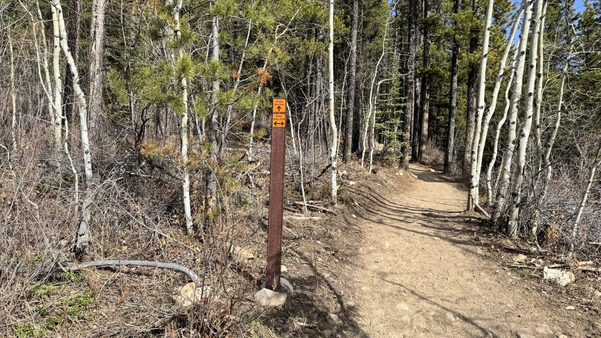 Prairie Mountain Hike in Kananaskis - MEpic Adventure