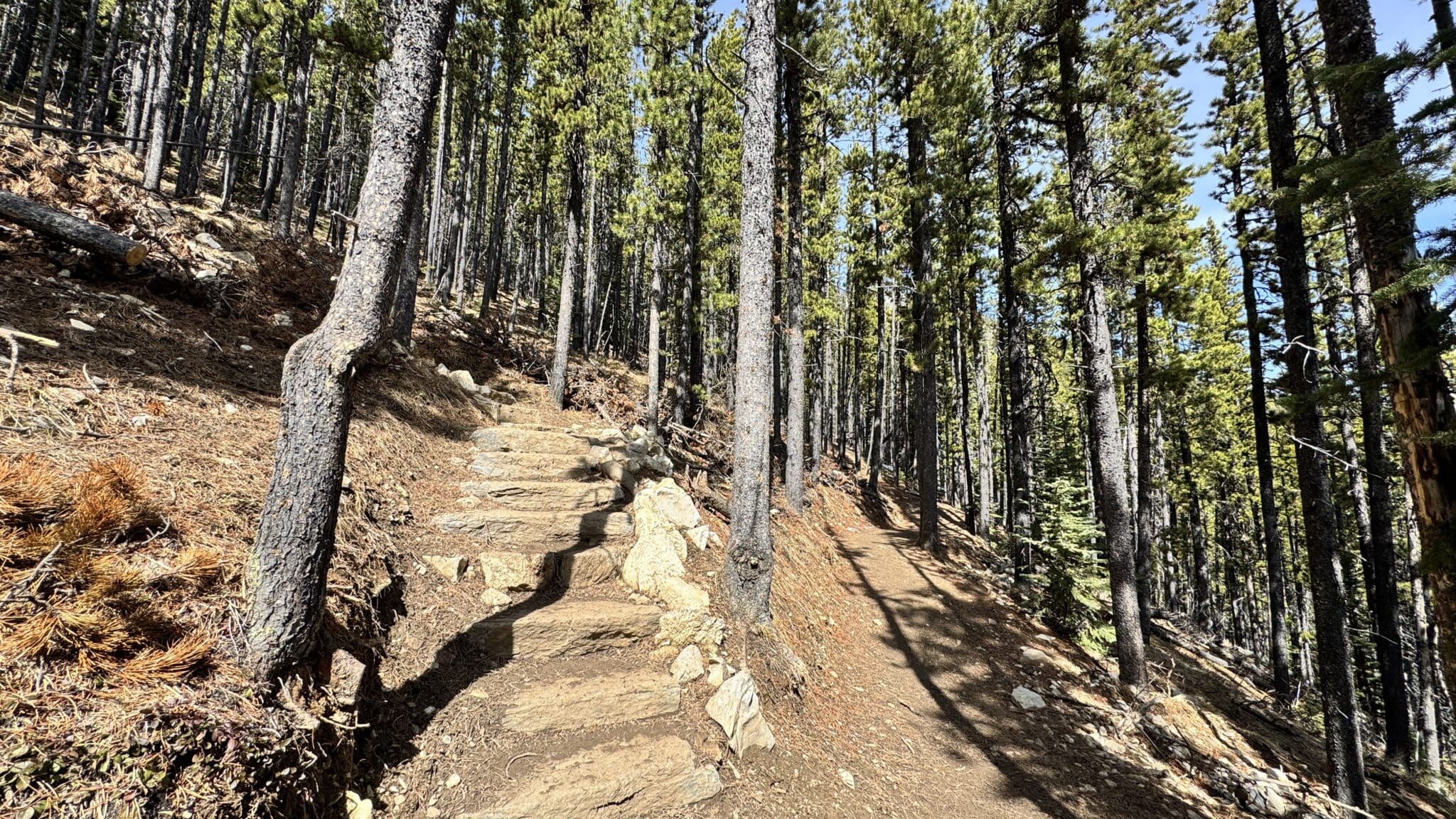 Prairie Mountain Hike in Kananaskis - MEpic Adventure
