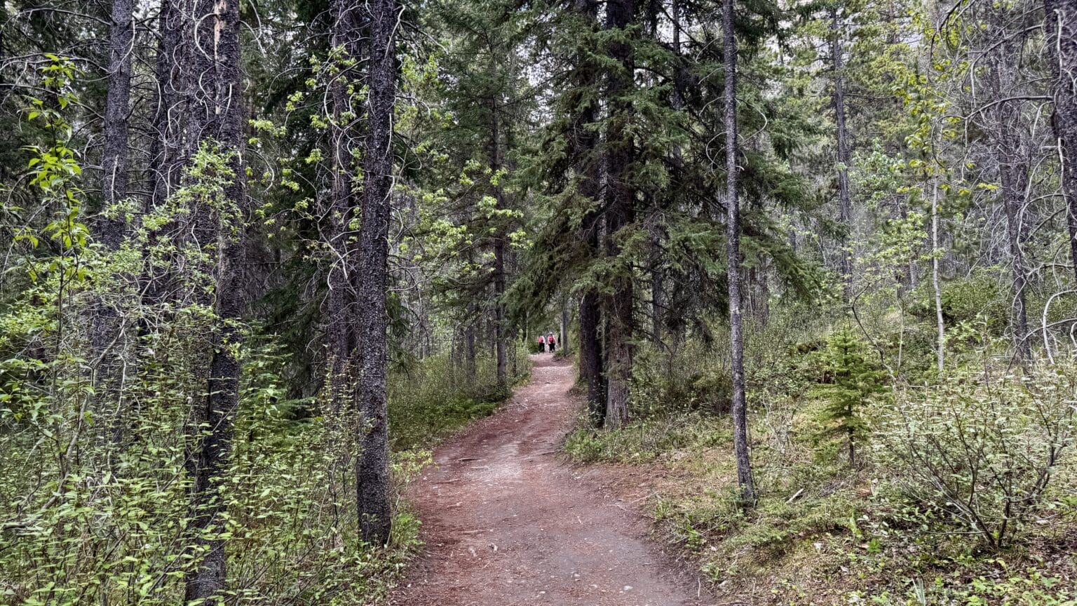 How to Hike to Grassi Lakes Near Canmore - MEpic Adventure