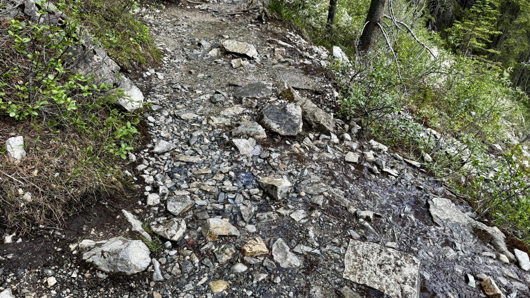 How to Hike to Grassi Lakes Near Canmore - MEpic Adventure