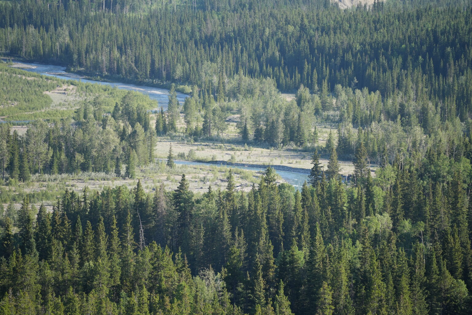 Fullerton Loop Hiking Trail: All Seasons Hike in Kananaskis Country